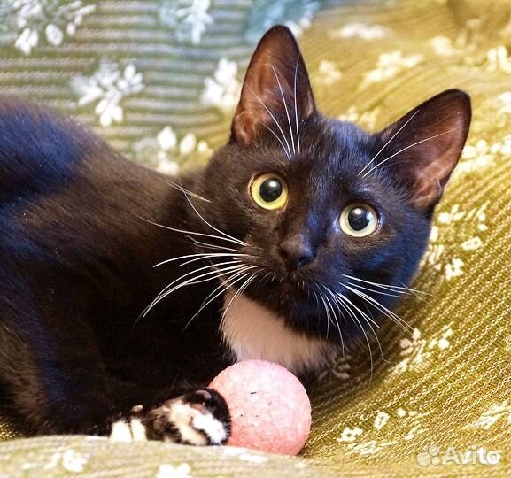 Ей очень хотелось выжить