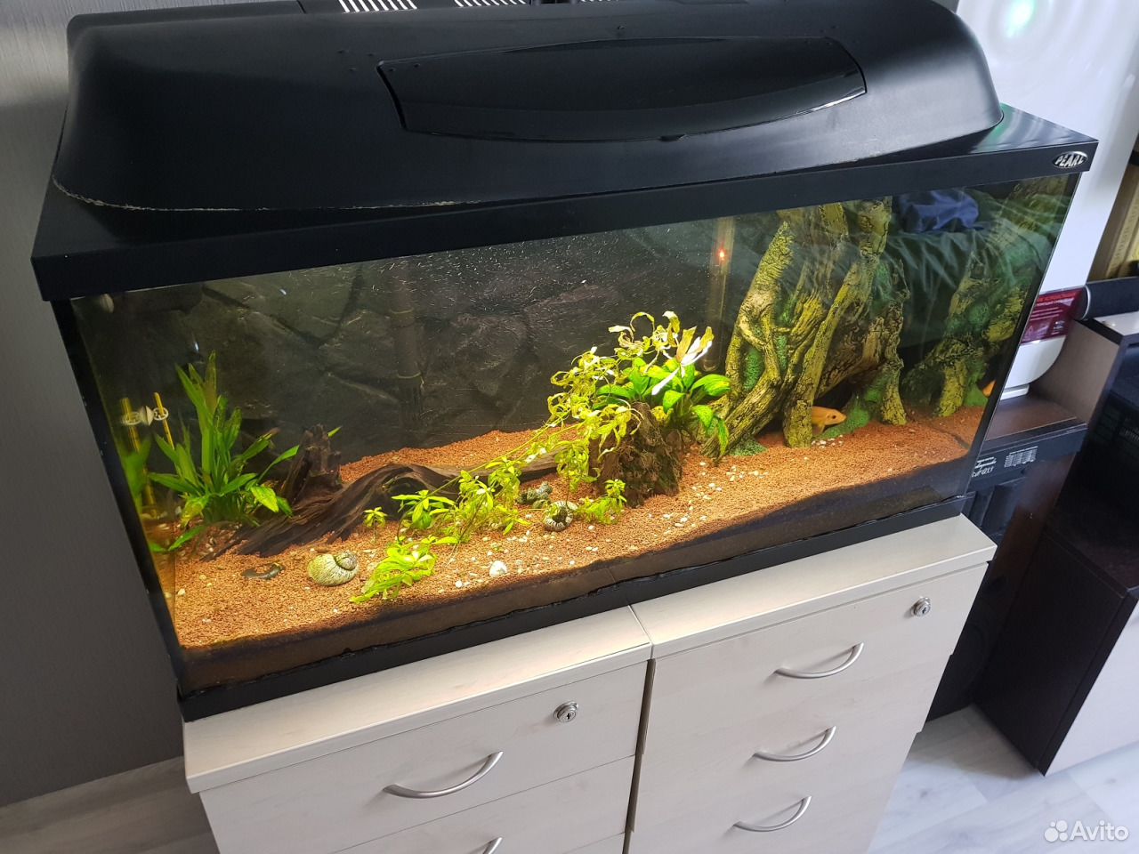 Аквариум прямоугольный Aquael pearl 90 л