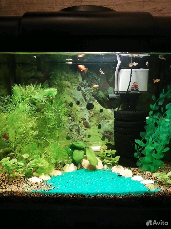 Аквариум