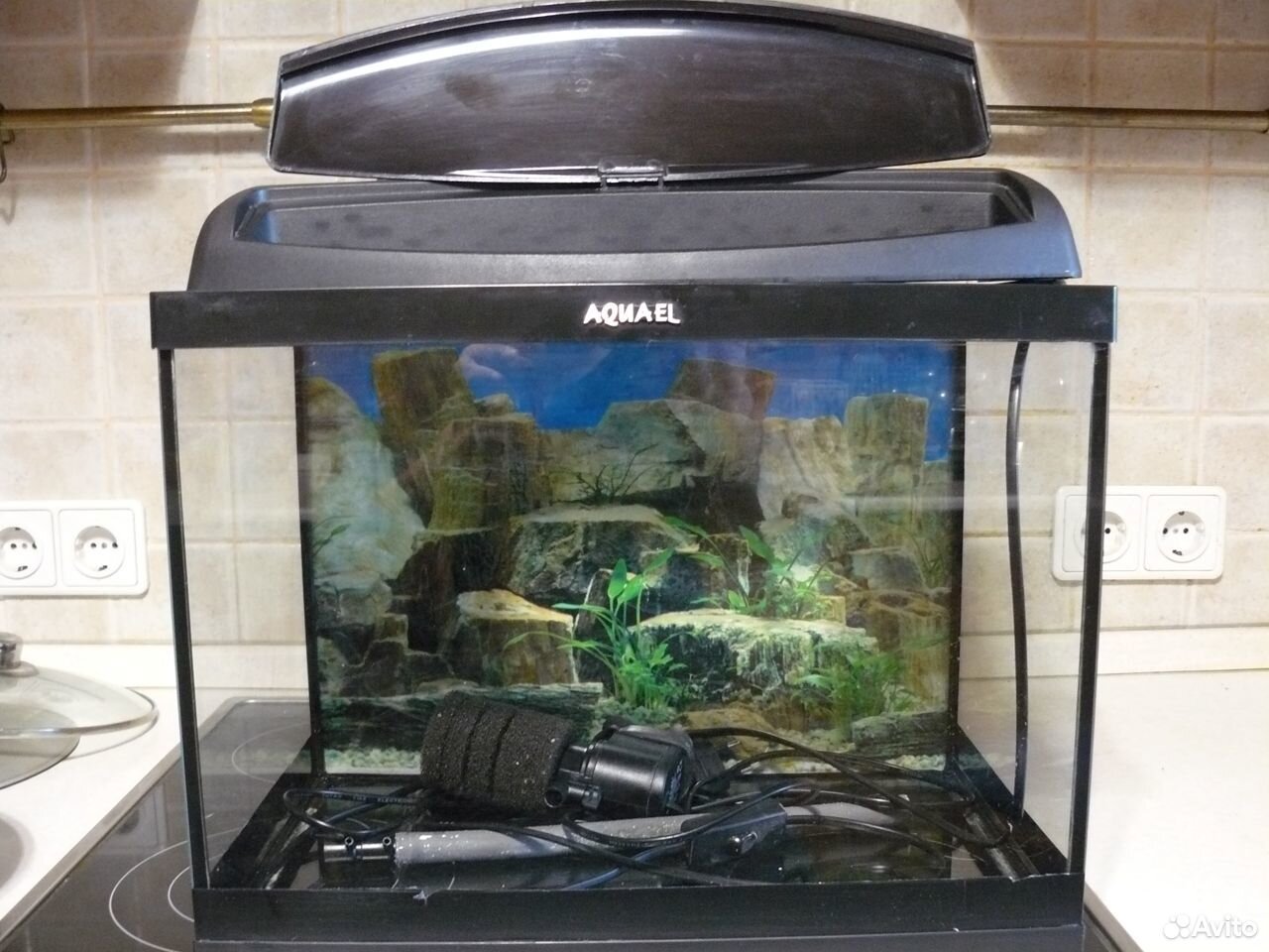 Аквариумы, компрессоры, термометры, б.у