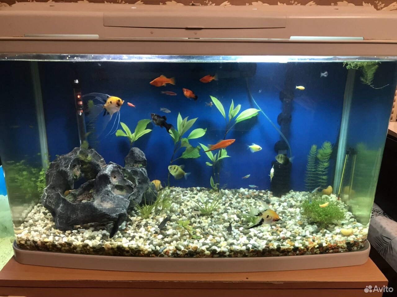 Аквариум