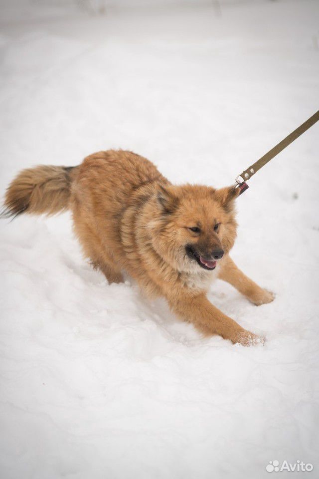 Алиса ждёт свою семью