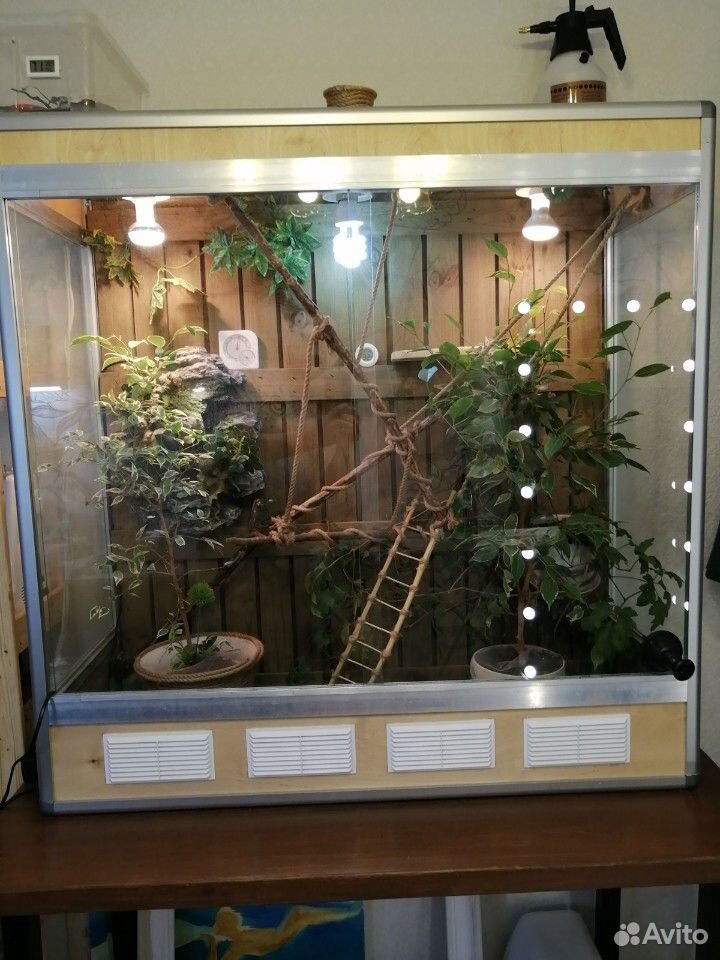 Террариум с хамелеоном