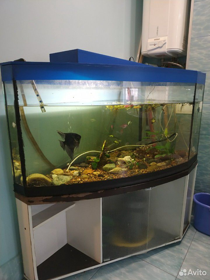 Аквариум