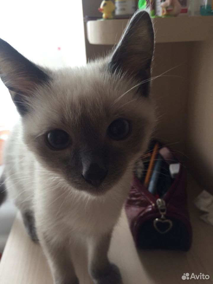 Тайский красавчик