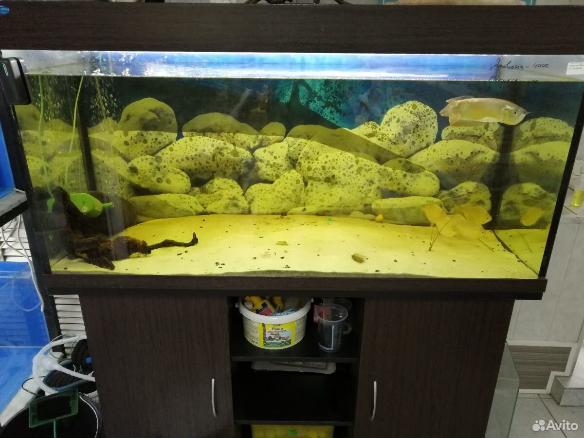 Аквариум 400л