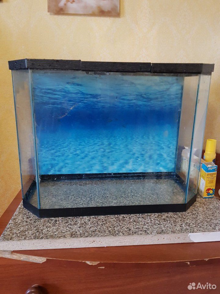 Аквариум
