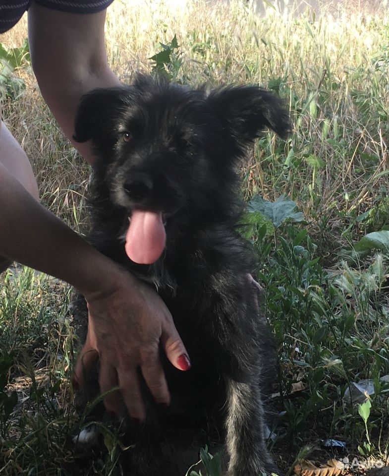 Классная девчонка в частный дом