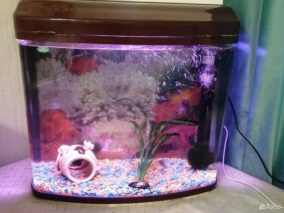 Аквариум 48 л