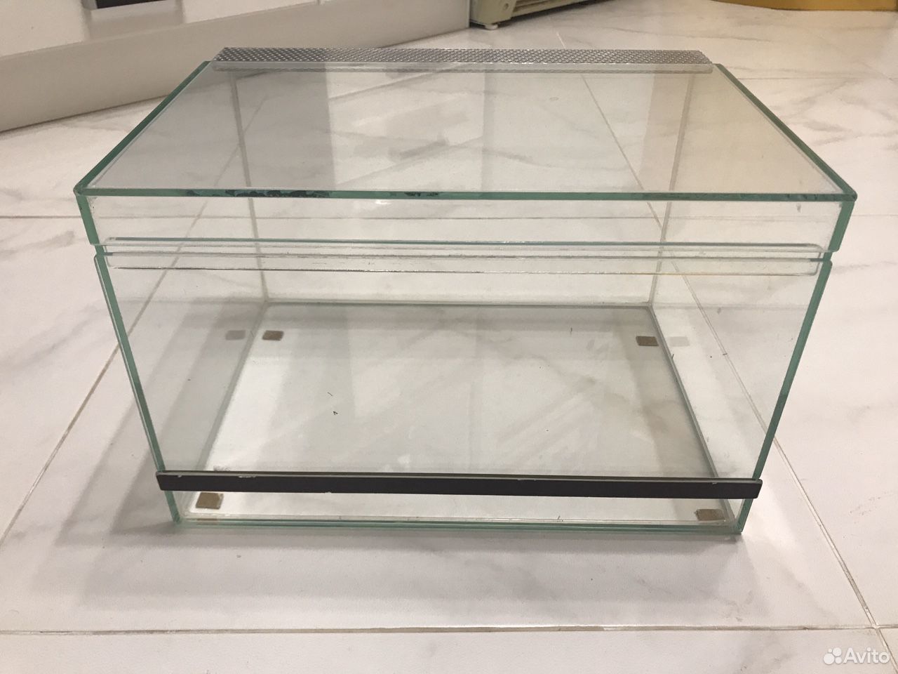 Паучатник террариум