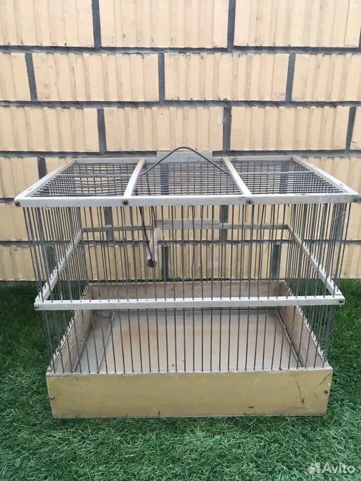 Клетка