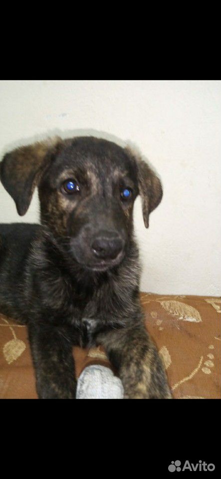 Классный мальчишка ищет дом