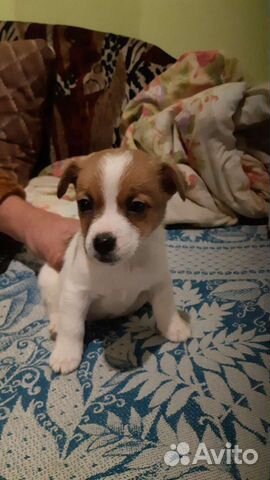 Милые детишки