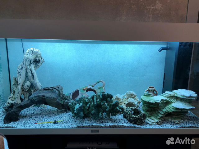 Аквариум с тумбой 240 литров Juwel