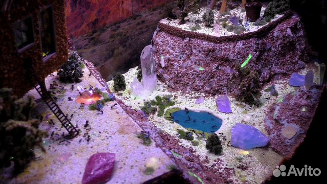 Аквариум стенд муравьиная ферма "Колорадо"