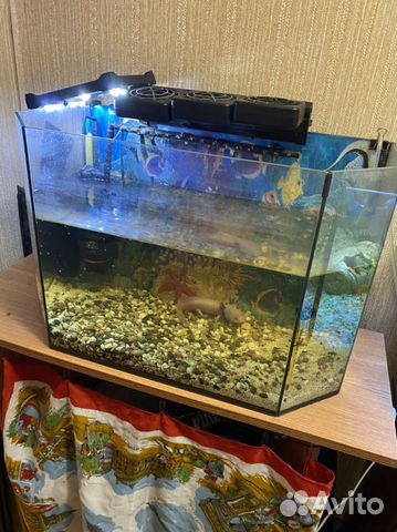 Аквариум 60л