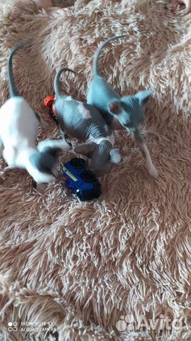 Милые крошки