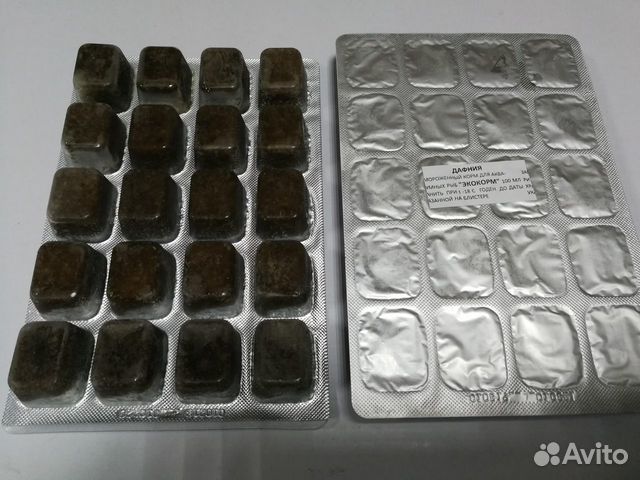 Дафния корм для рыб в блистере 100 мл