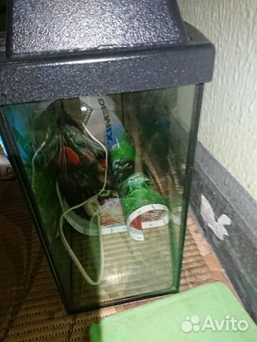 Аквариум 20л