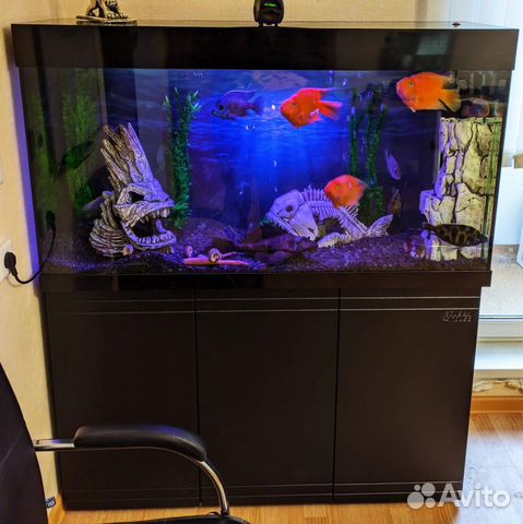 Аквариум 300 литров