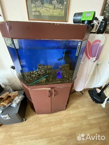 Аквариум напольный