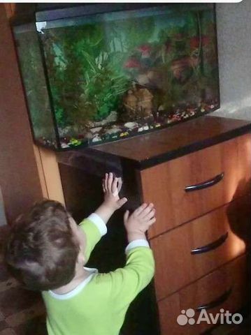 Аквариум
