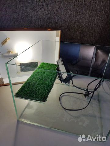 Черепашник