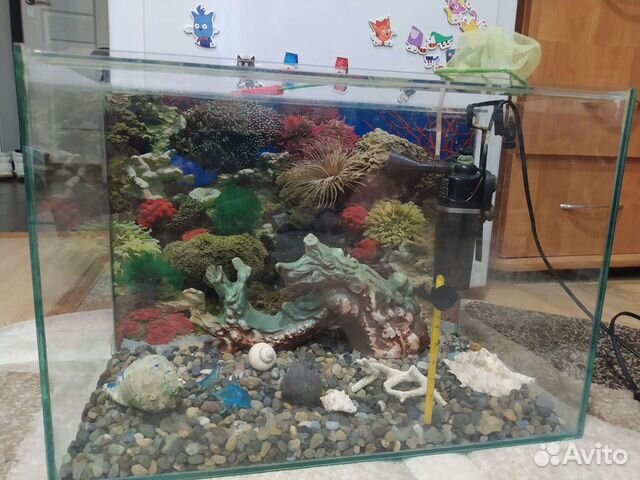 Аквариум 25 литров