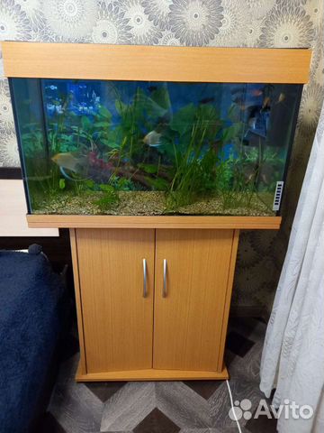Аквариум