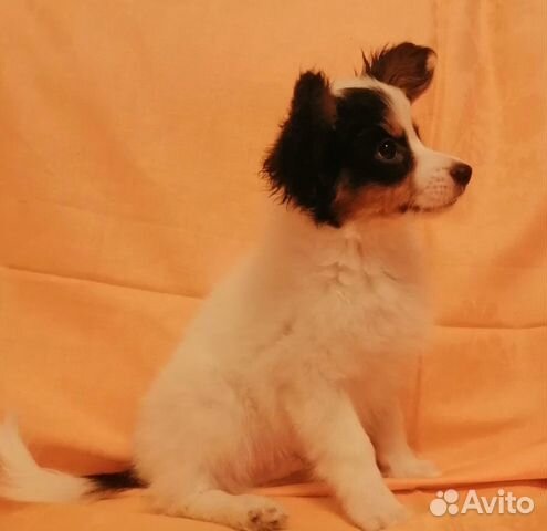 Брутальный мальчишка