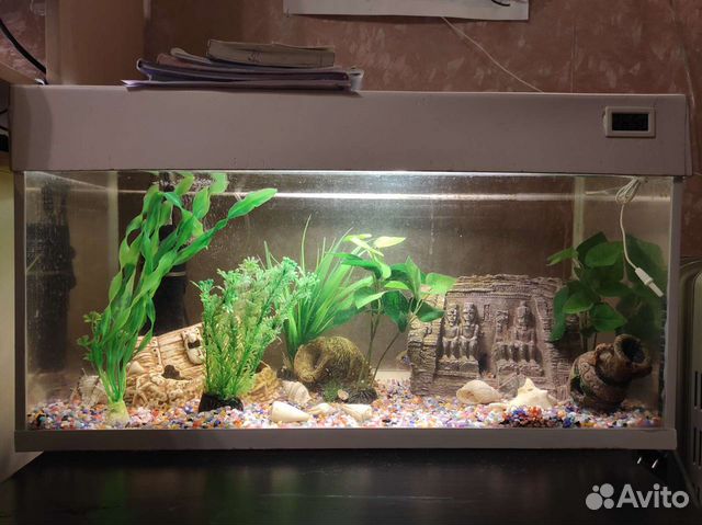 Аквариум