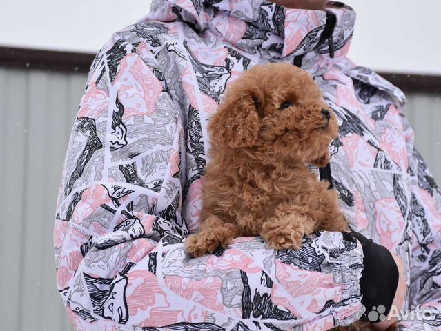 Игрушечный мальчик