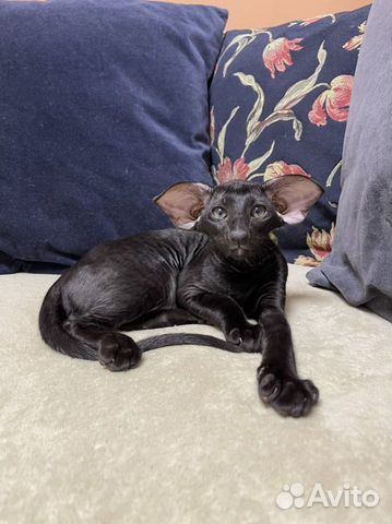 Экстремальный мальчик