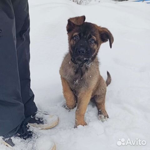 Няша очень ждет свою семью