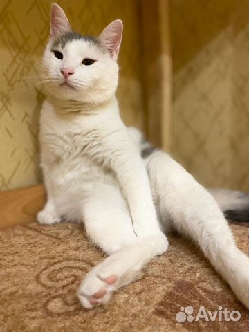 Зая вас ждет