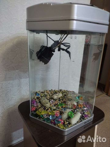 Аквариум