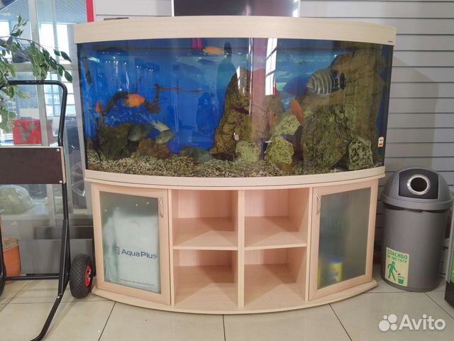 Аквариум