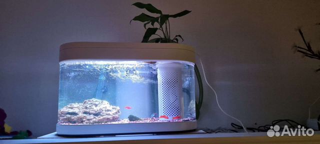 Аквариум xiaomi