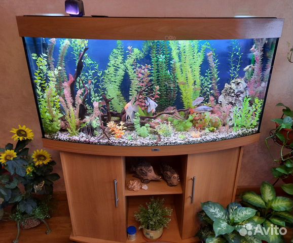 Аквариум juwel vision 260 led С тумбой