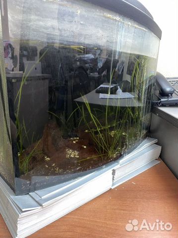 Аквариум