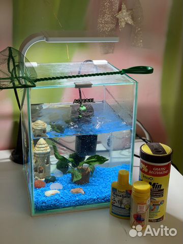 Аквариум куб 10 литров