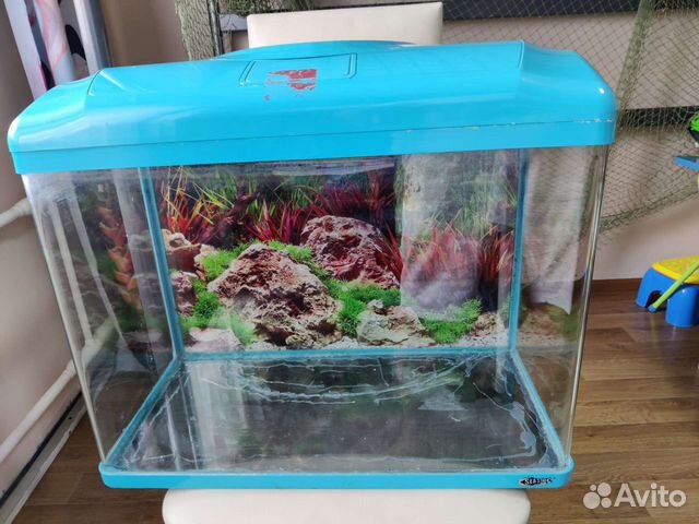 Аквариум