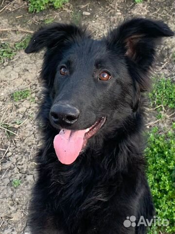 Ищем дом Куперу