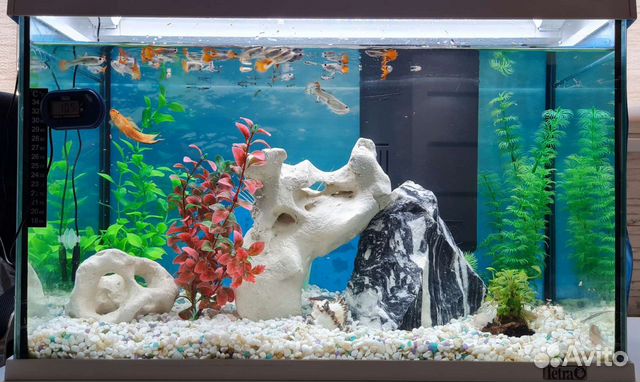 Аквариум с полным набором и рыбками