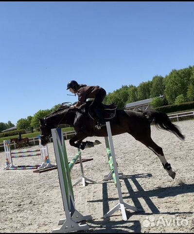 Кобыла в спорт