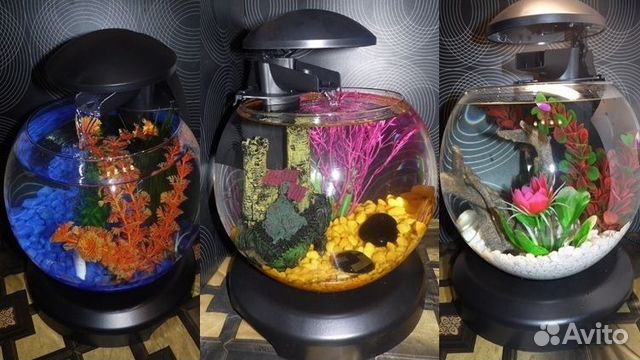 Tetra Cascade Globe полный комплект, включая рыбку