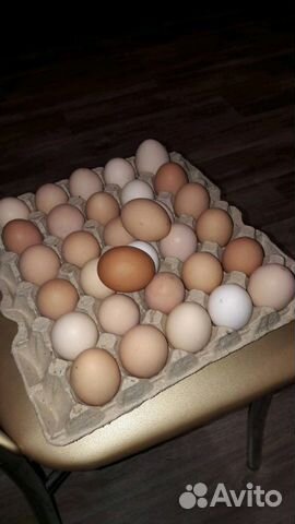 Яйца от деревенских кур