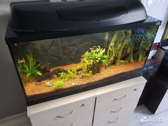 Аквариум прямоугольный Aquael pearl 90 л