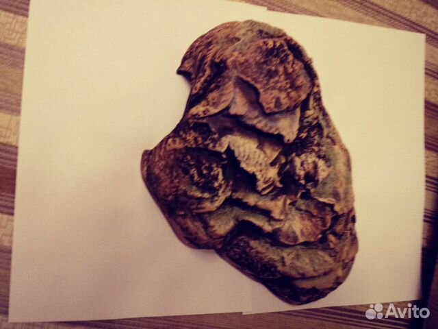 Суша для террариума