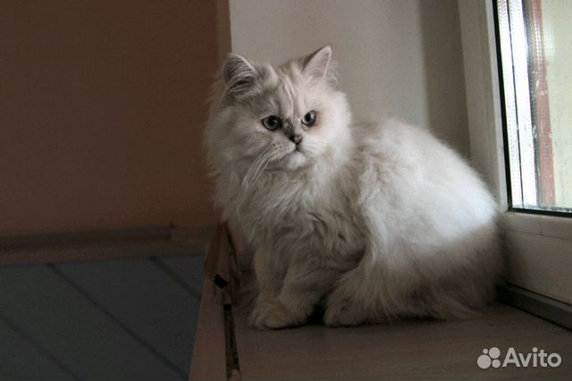 Очень смешной и ласковый малыш